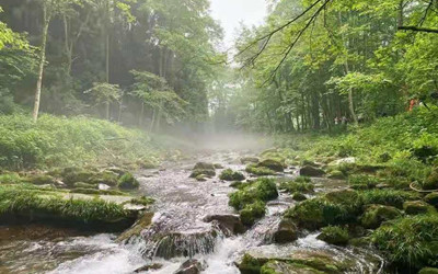 Zhangjiajie National Forest Park-TravelZhangjiajieGuide